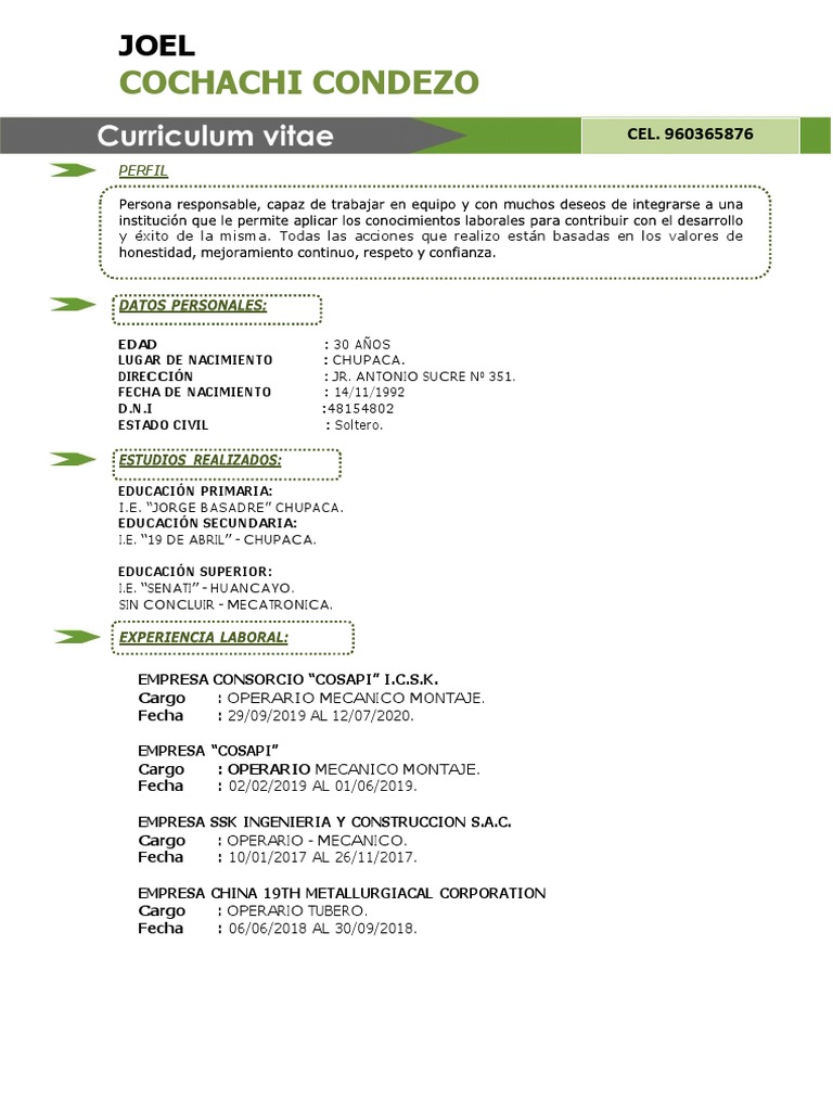 Cv. Joel Actual Abril 2023 | PDF