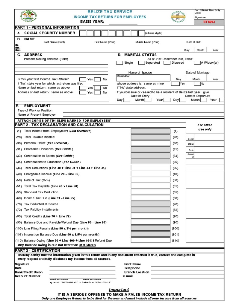 BTS203 - Income Tax Return For Employees Manual Version | PDF | Tax ...