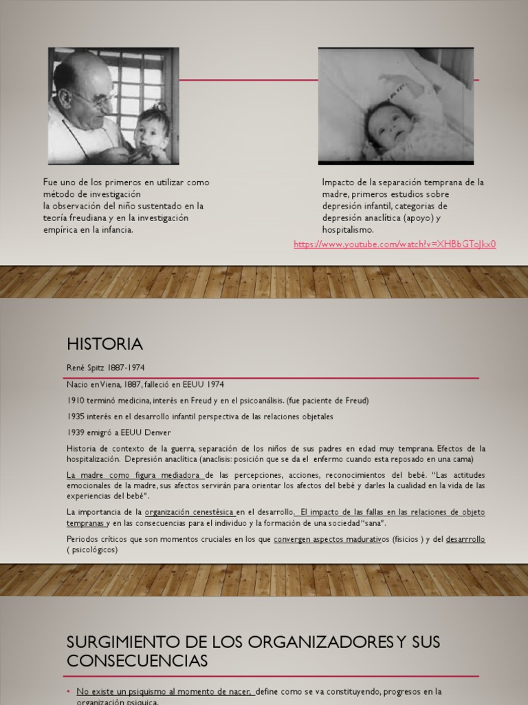 Rene Spitz | PDF | Percepción | Psique (psicología)