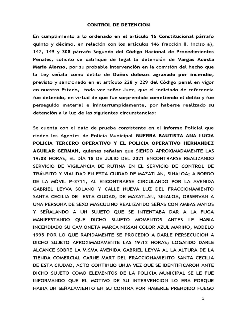 Control de La Detencion y Pautas Terminadas Detenido | PDF | Mandato ...