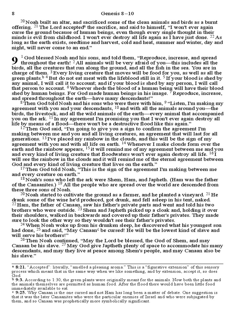 Noah's Covenant and His Sons' Legacy | PDF | Ham (Son Of Noah) | Noah