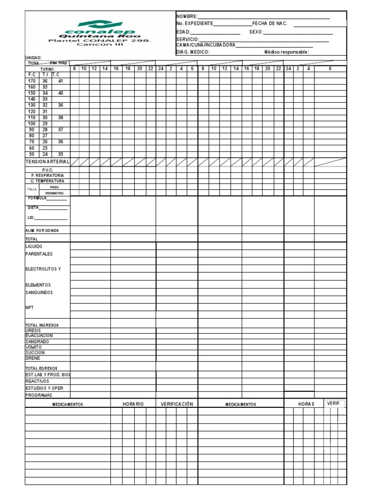 Hoja de Enfermeria | PDF | Medicina CLINICA | Especialidades Medicas
