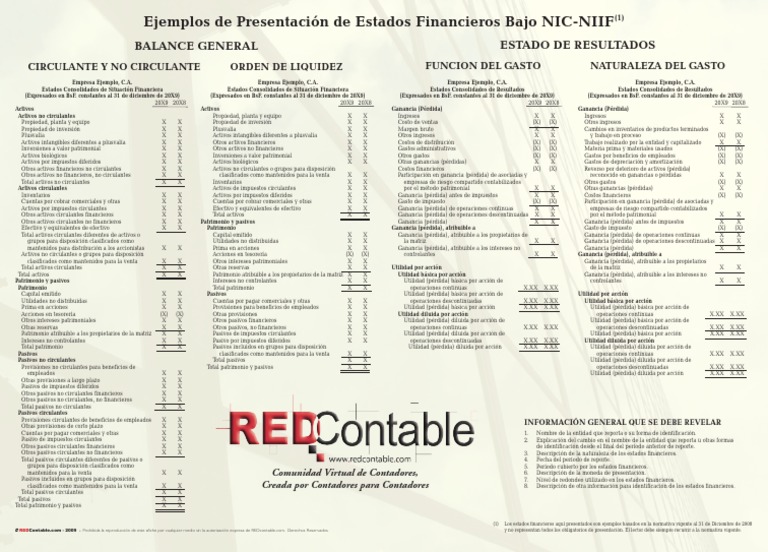 Modelo Presentacion Estados Financieros Bajo NIC NIIF | PDF | Compartir ...