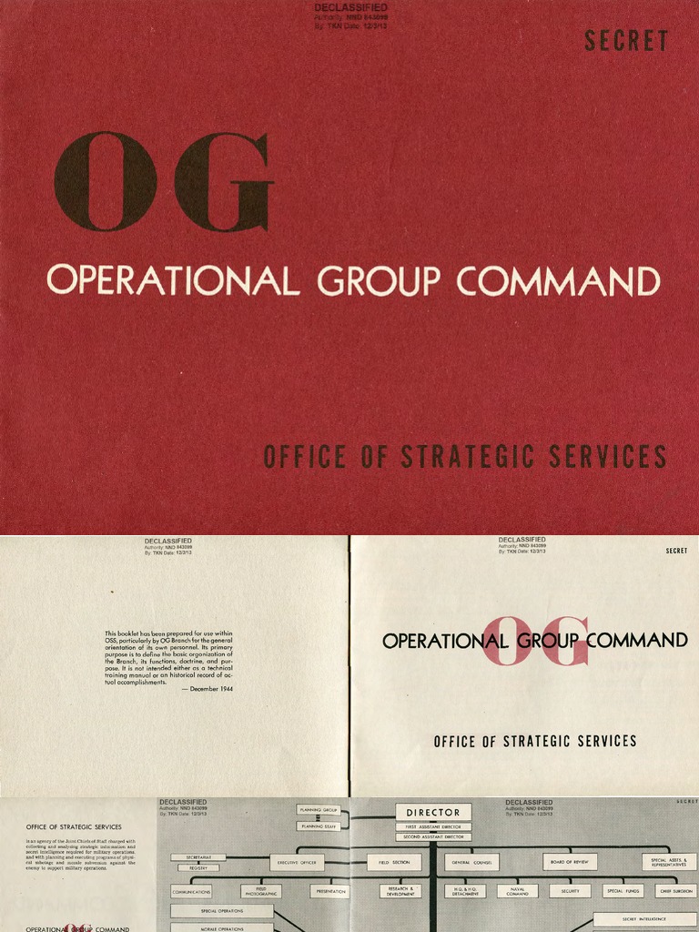 Operational Groups Overview | PDF | Staff (Military) | Office Of ...