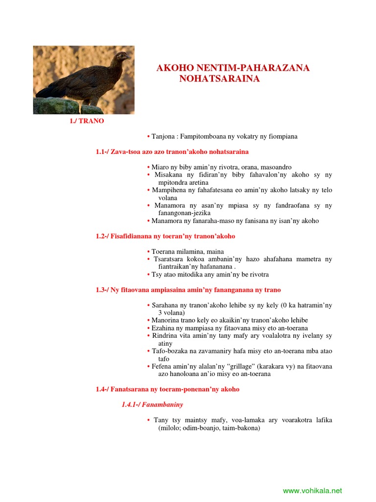 Akoho Gasy Nohatsaraina | PDF