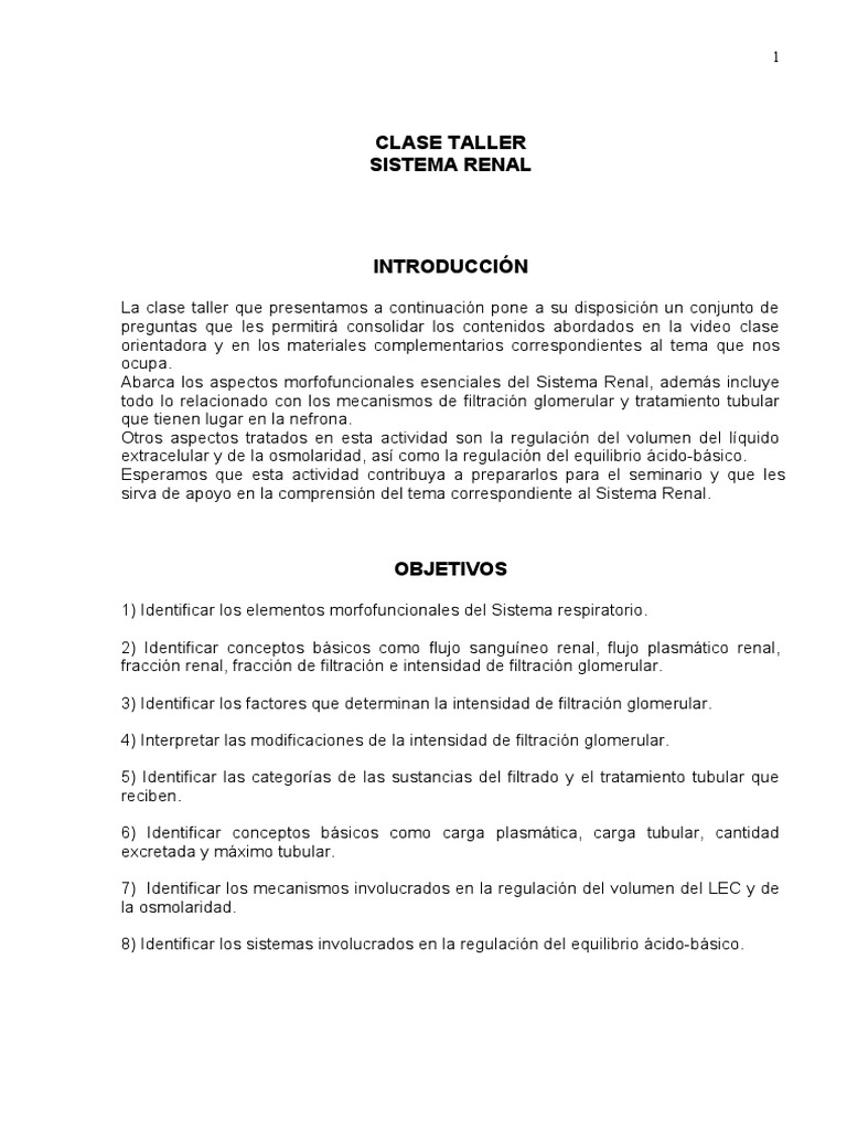 Clase Taller Sistema Renal | PDF | Riñón | Anatomía