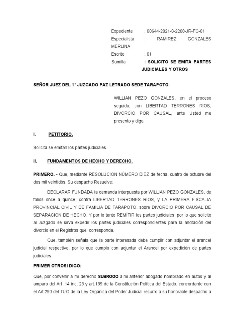 Expedicion de Partes Judiciales | PDF | Divorcio | Instituciones sociales