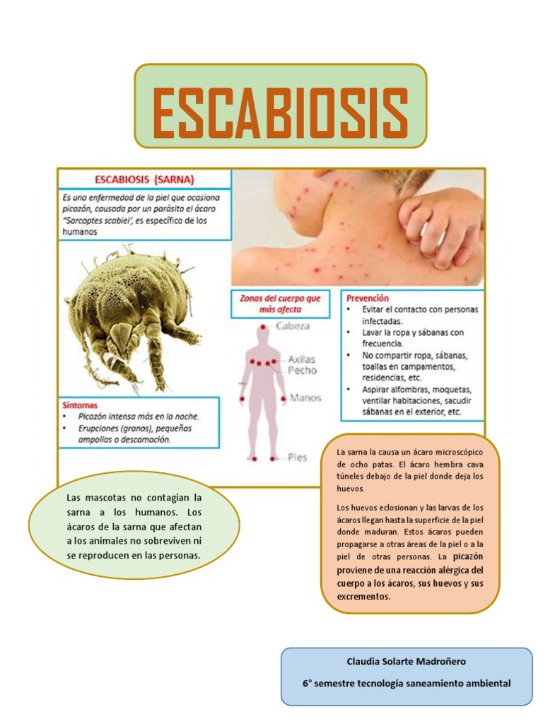 Escabiosis para Imprimir | PDF