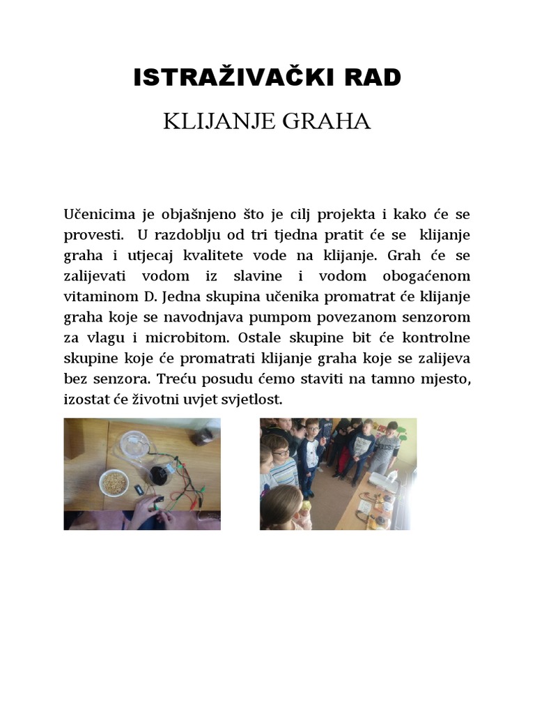 Istrazivacki Rad-Konacna Verzija 0 | PDF