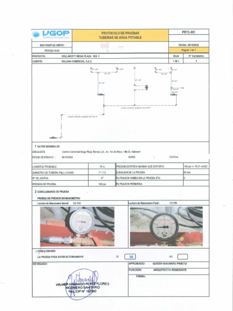 Protocolo de Prueba | PDF