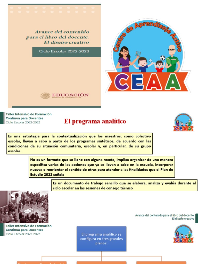 El Programa Analitico Ceaa | PDF | Aprendizaje | Enseñando