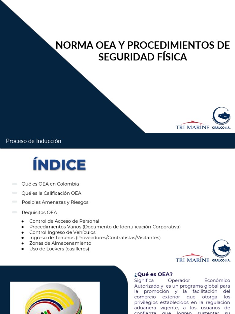 Norma Oea y Procedimientos de Seguridad Fisica | PDF | Logística