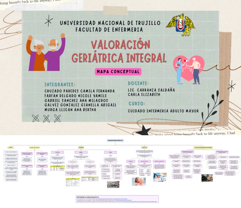 Mapa Conceptual - Valoración Geriátrica Integral | PDF | Medicina de ...