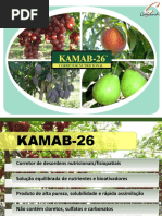 Folheto Brandt Completo | PDF | Biologia | Química