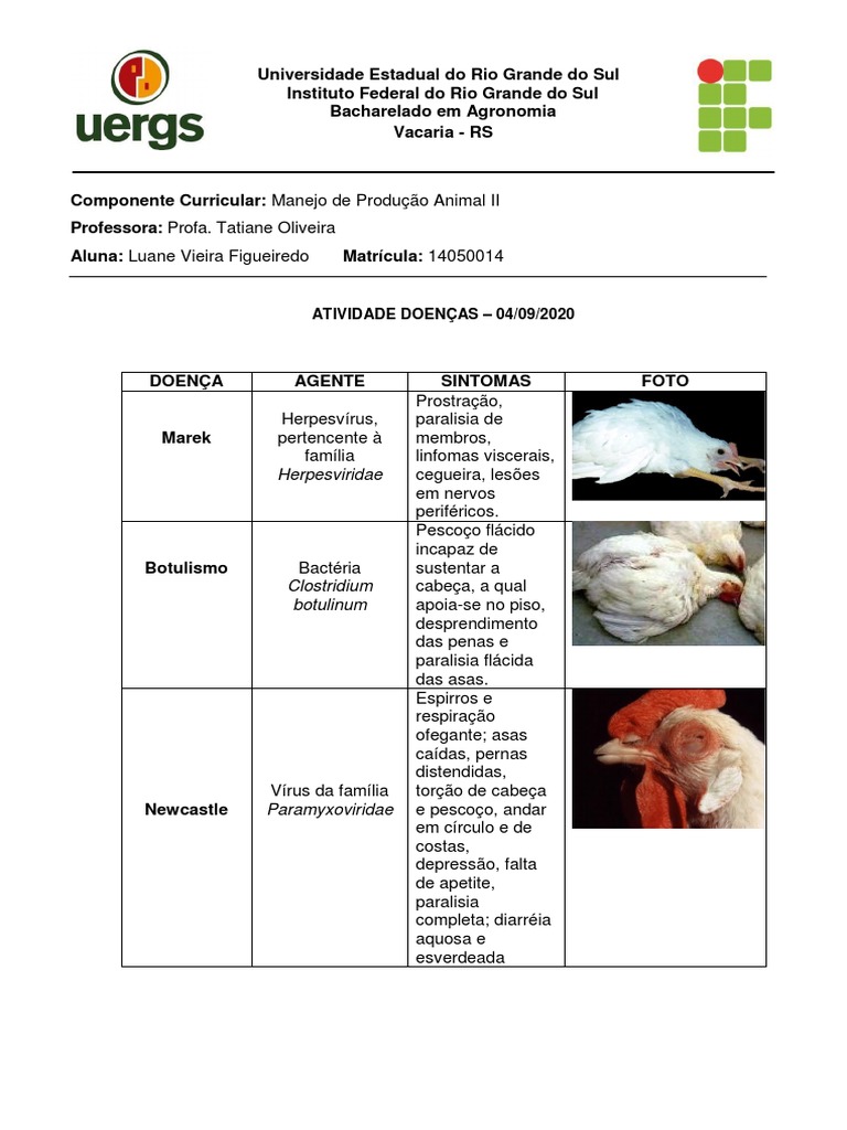 Doenças de Aves: Sintomas e Agentes Causais | PDF | Doenças e ...