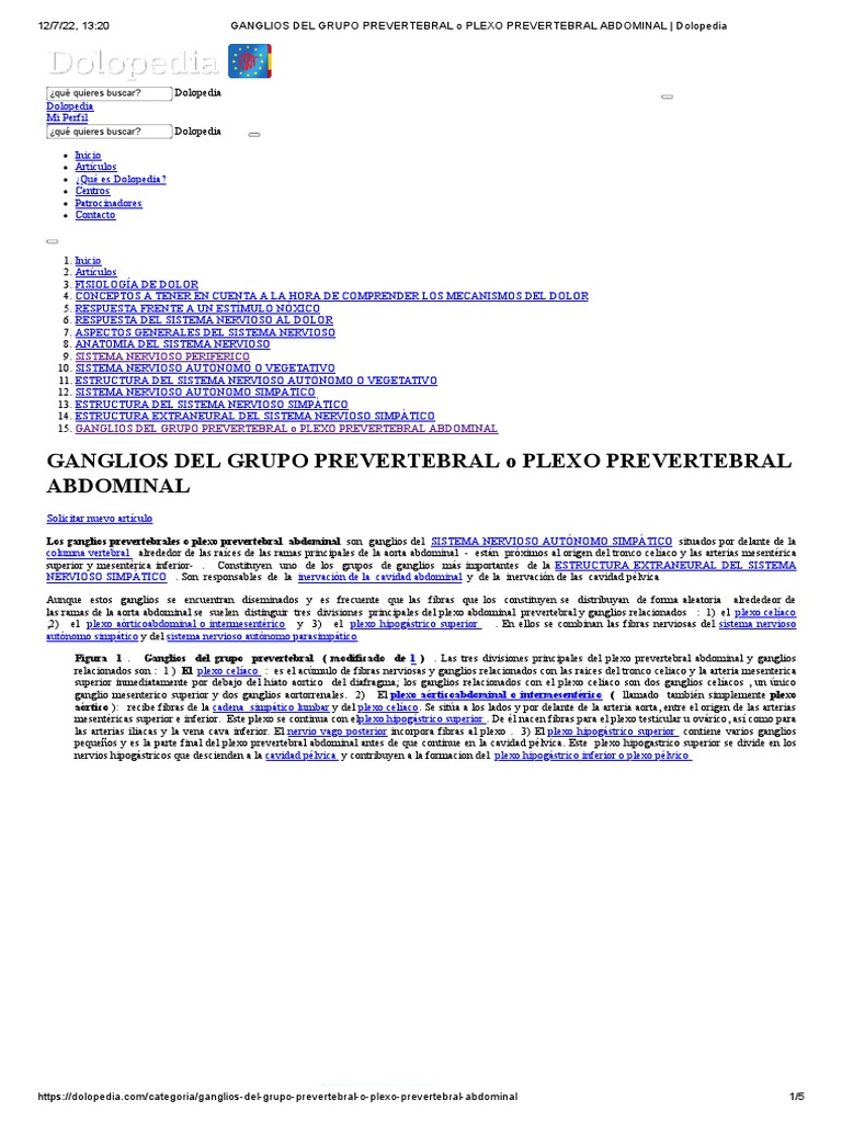 GANGLIOS DEL GRUPO PREVERTEBRAL o PLEXO PREVERTEBRAL ABDOMINAL ...