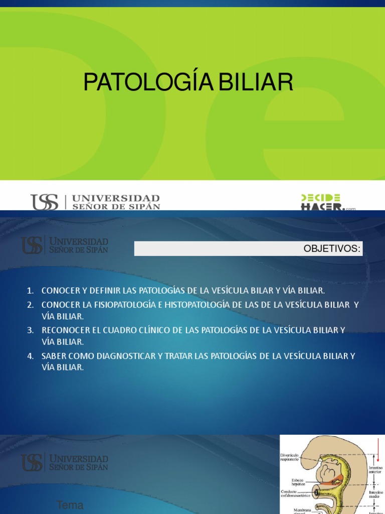 Patología Biliar | PDF | Vesícula biliar | Bilis