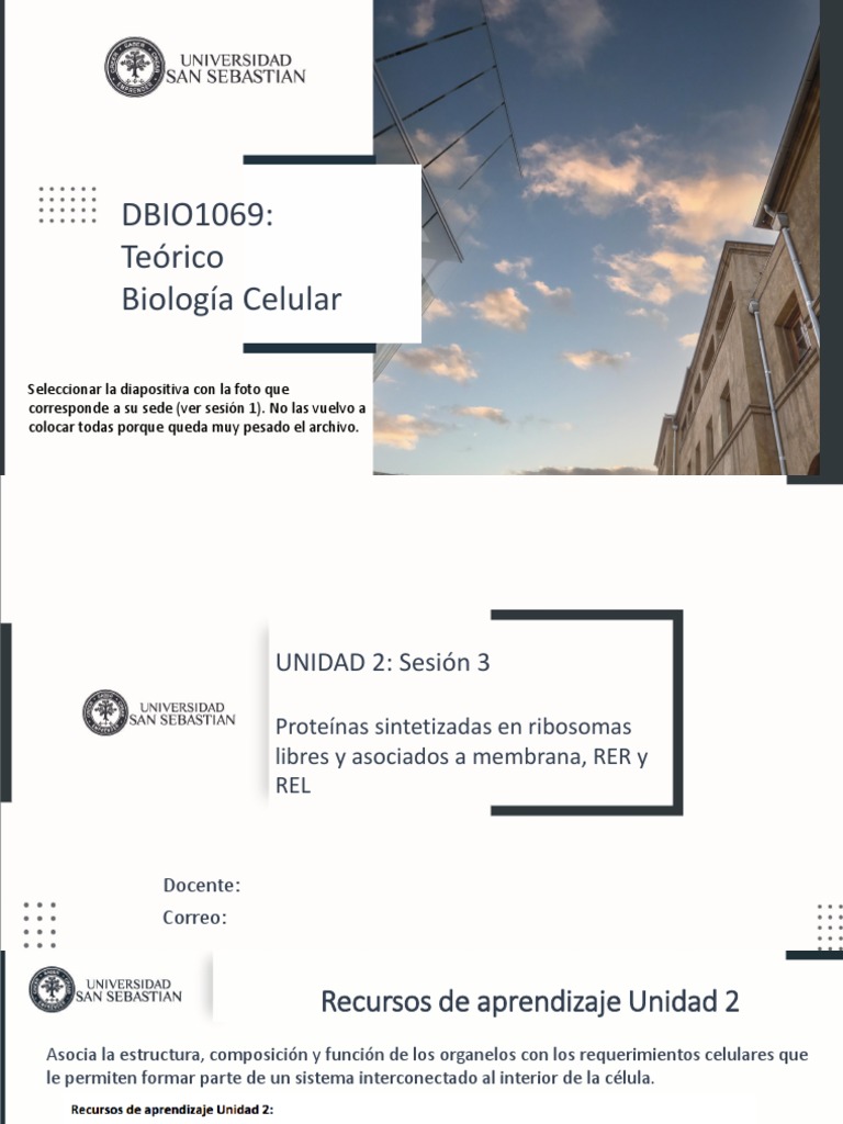 Unidad 2 Sesión 3 - Ribosomas - RER y REL FS | PDF | Retículo ...