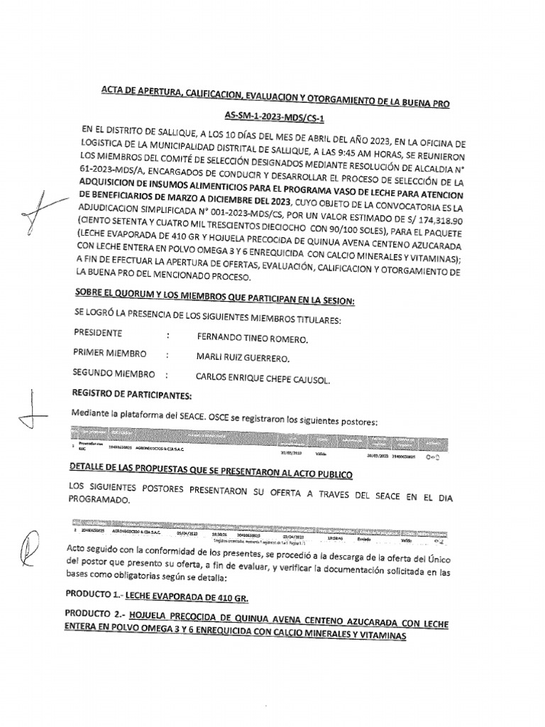 Acta de Otorgamiento de Buena Pro | PDF