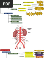 Arco de Riolano | PDF | Tinción | Anatomía