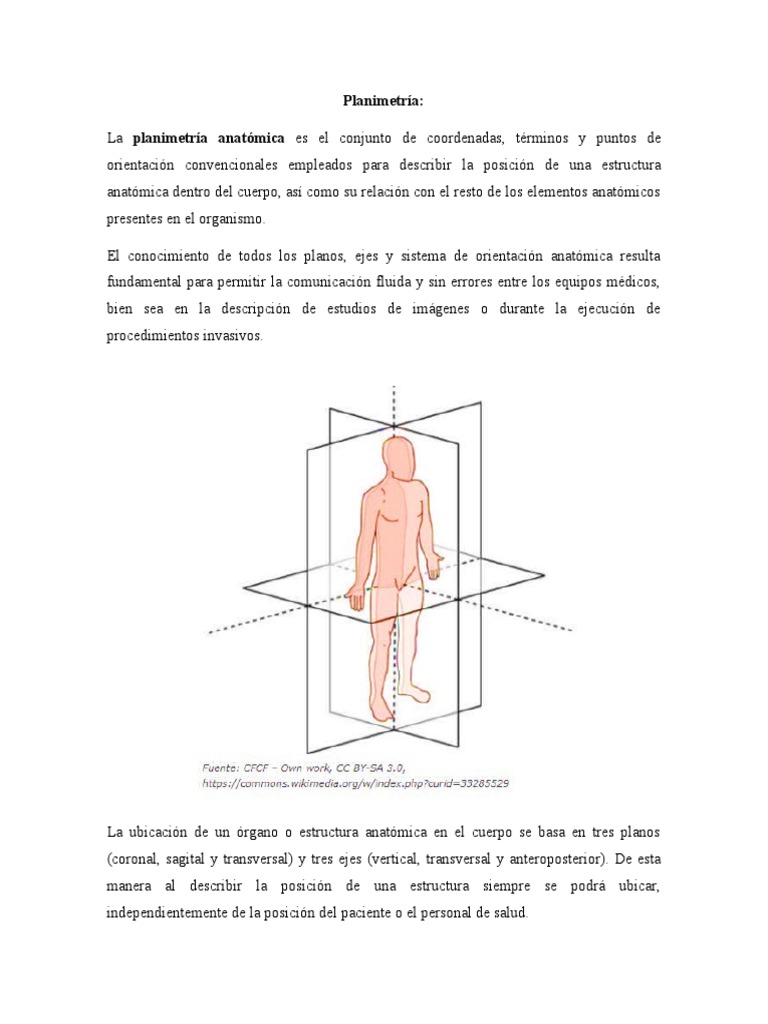 Planimetría Anatómica Del Cuerpo Humano Pdf Términos Anatómicos De