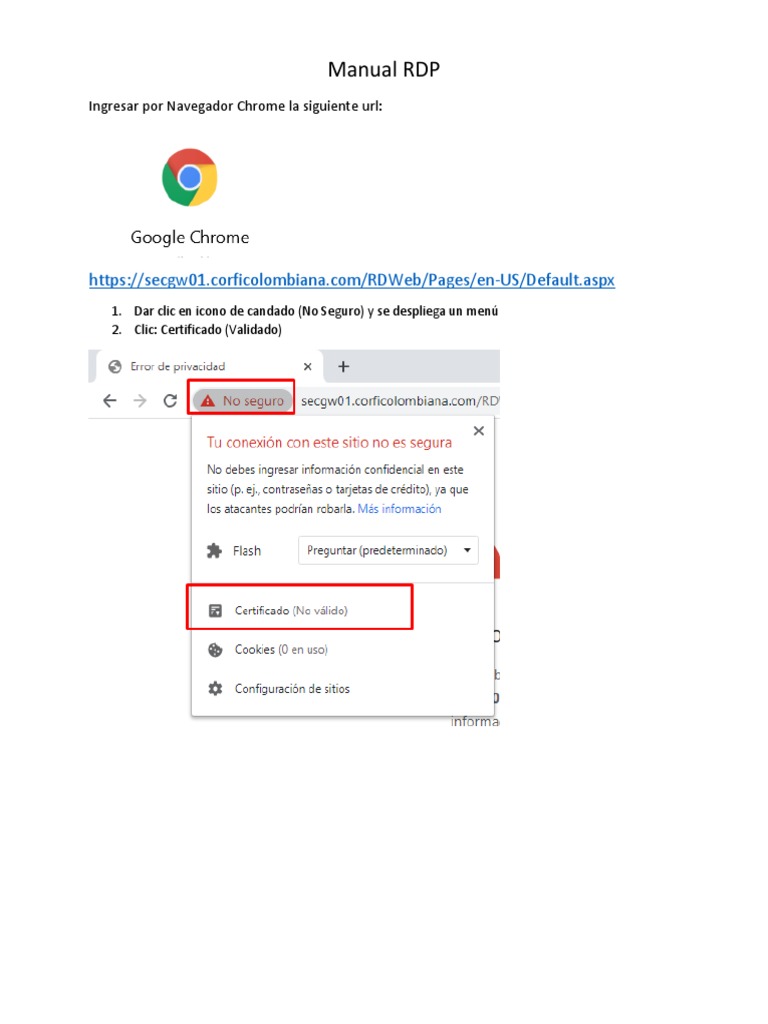 Manual RDP: Ingresar Por Navegador Chrome La Siguiente Url | PDF