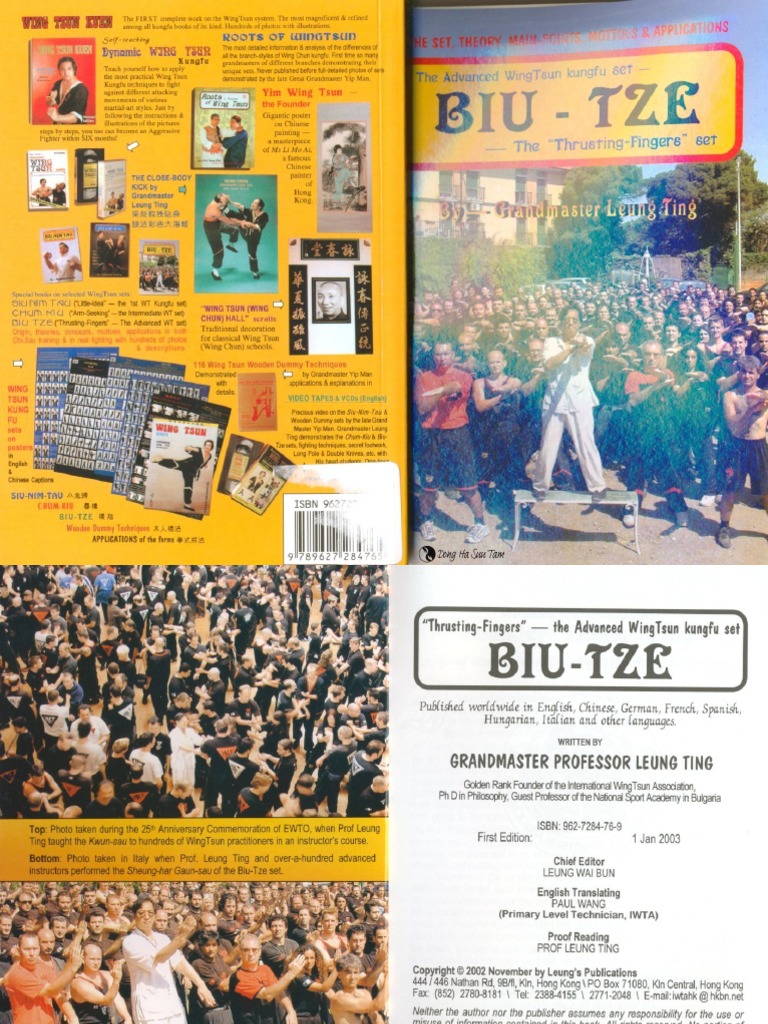 GM Leung Ting - Biu Tze | PDF