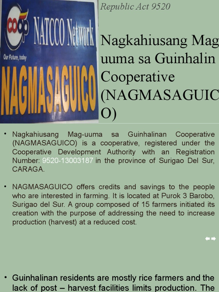 Nagkahiusang Mag-Uuma Sa Guinhalin Cooperative (Nagmasaguic O) | PDF ...