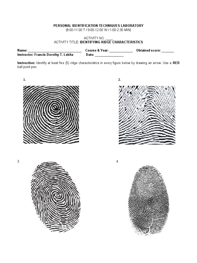 Fingerprint ridge identification lab | PDF