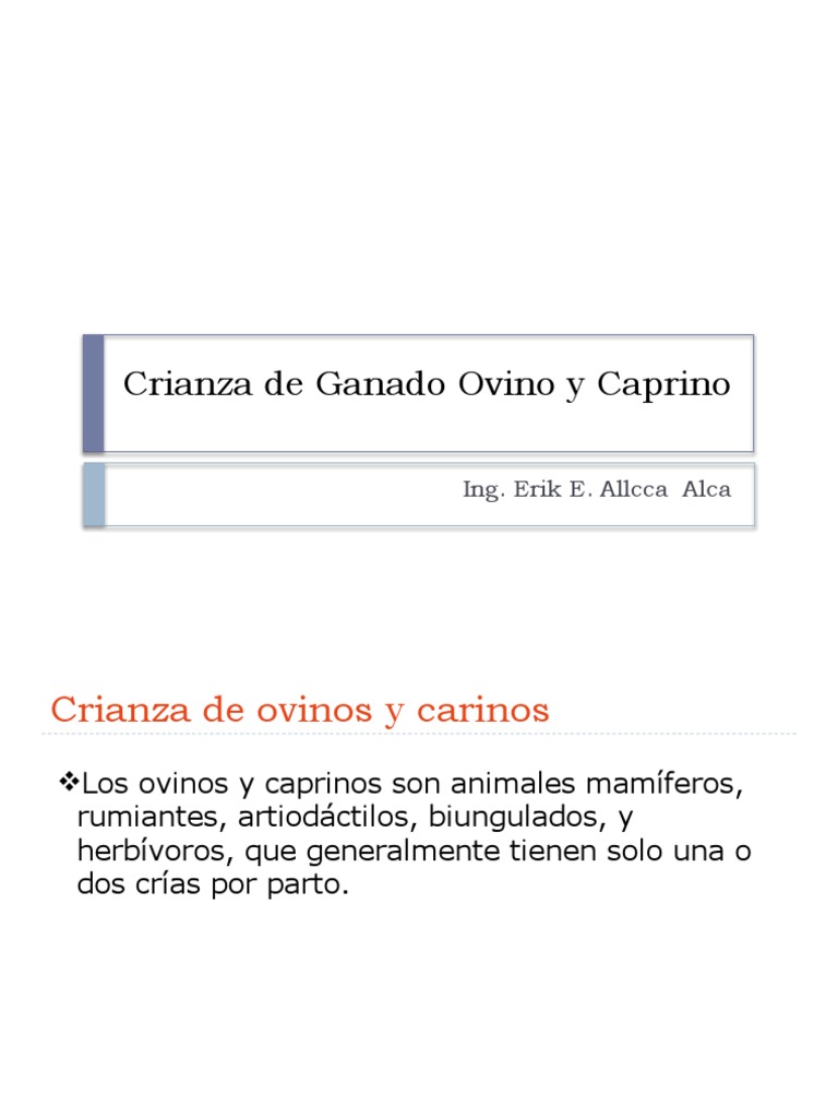 Crianza y Reproducción Ovina y Caprina | PDF | Oveja