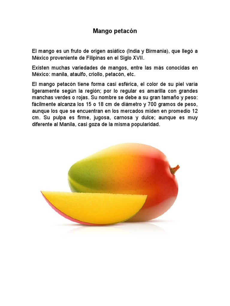 Origen y características del mango petacón | PDF | Ciencia y ...