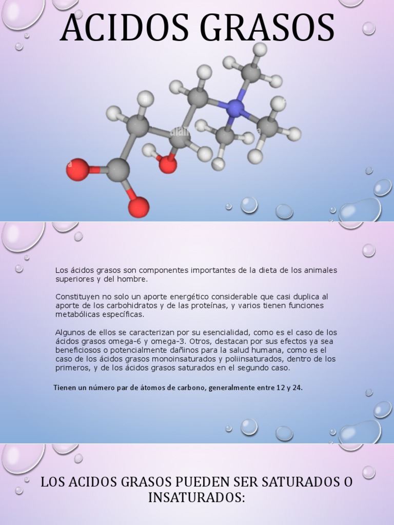 Ácidos Grasos | PDF | gordo | Ácido graso