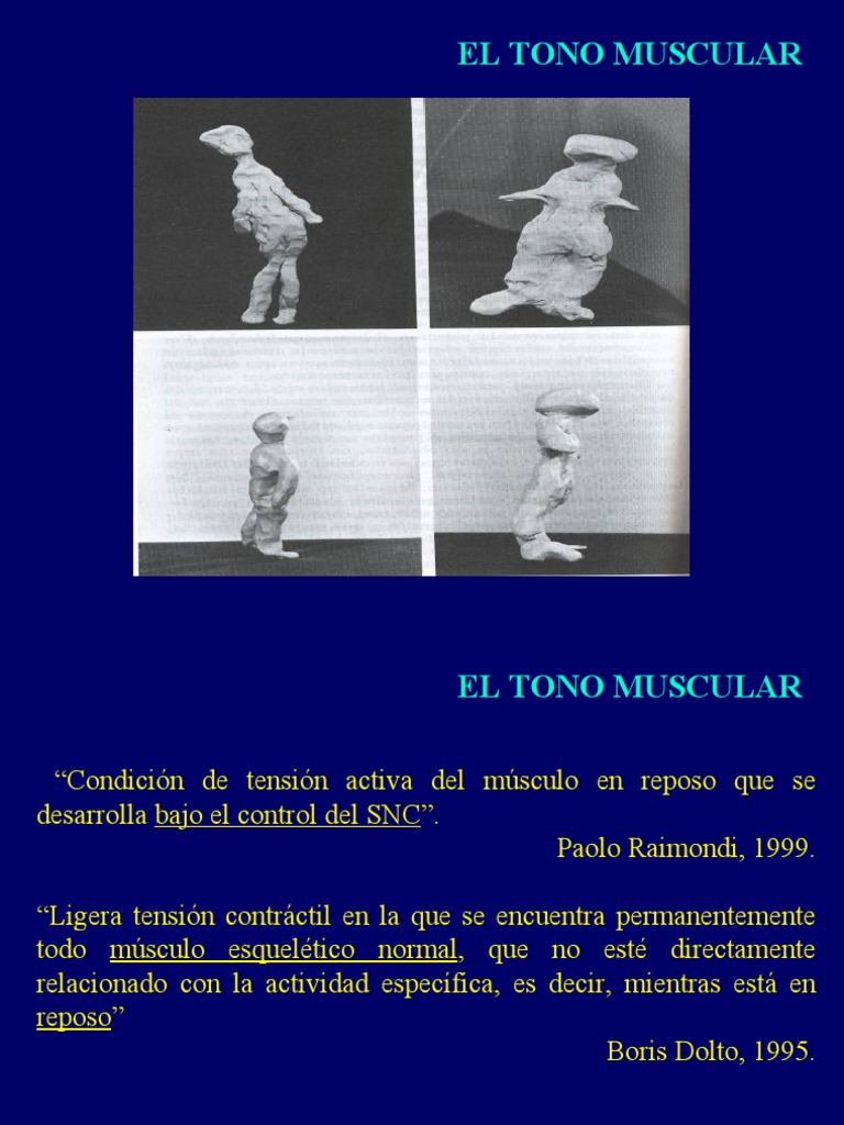 Tono Muscular | PDF | Dolor lumbar | Músculo
