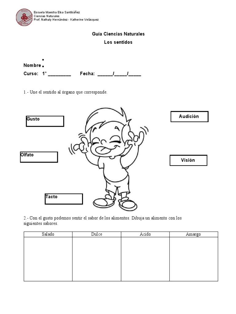 Guia Los Sentidos de Ciencias | PDF