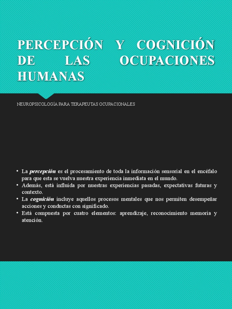 Cognición y Percepción en Terapia Ocupacional | PDF | Percepción ...