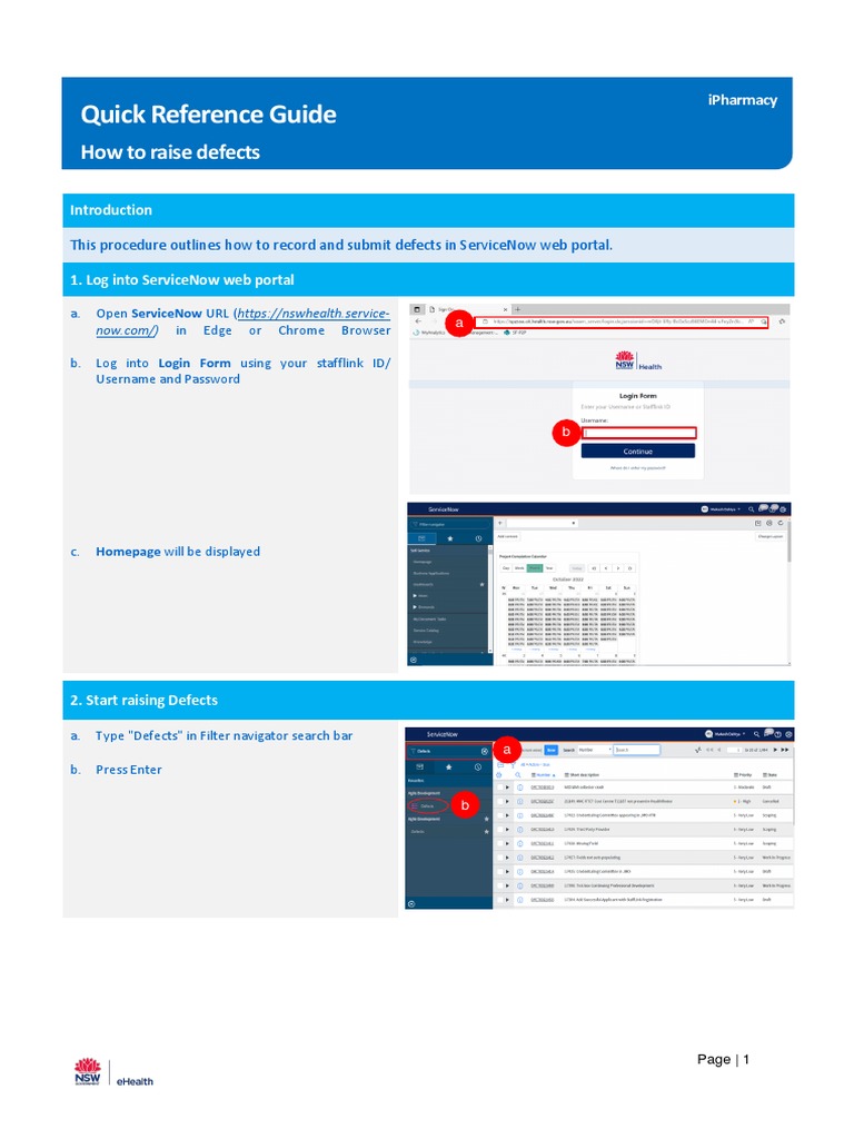 Ipharmacy How To Raise Defects | PDF