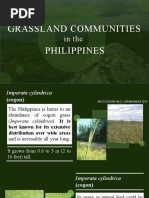 The Effect of The Kaingin System On The Quality of Soil and Growth of ...