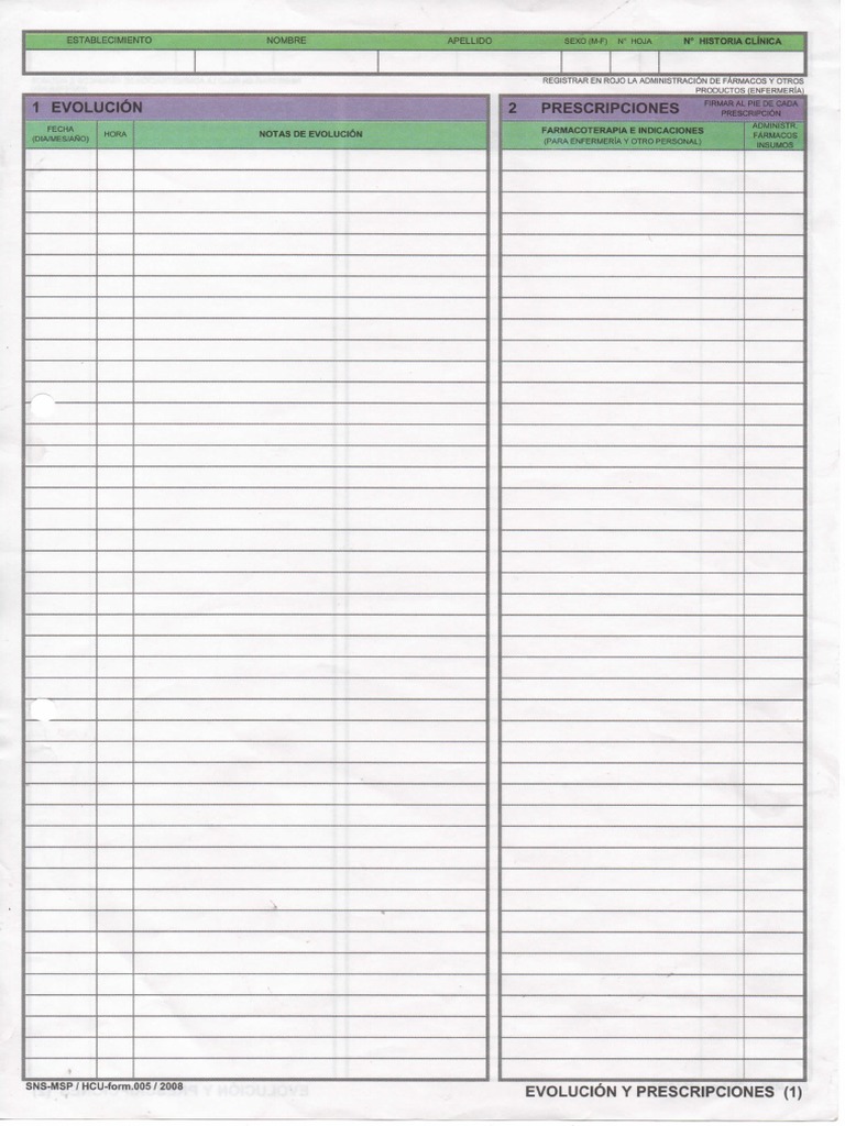 Formulario 005 MSP | PDF