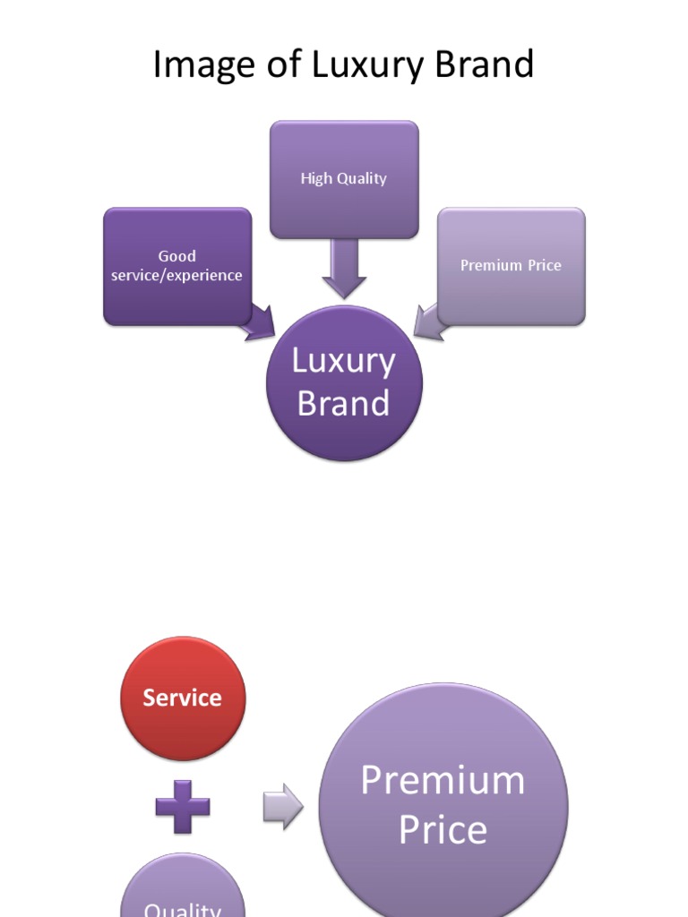 Luxury Brand Experience Insights | PDF | Social Science