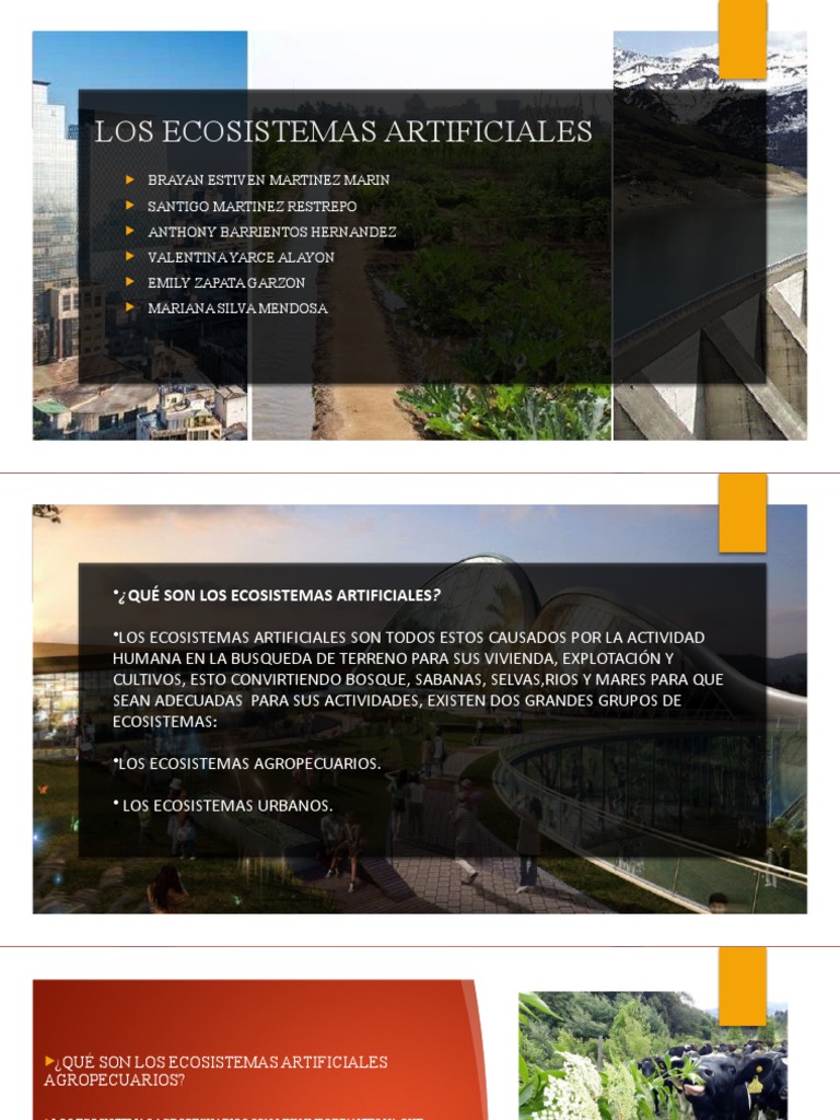 Los Ecosistemas Artificiales | PDF | Ecosistema | Ecología de sistemas