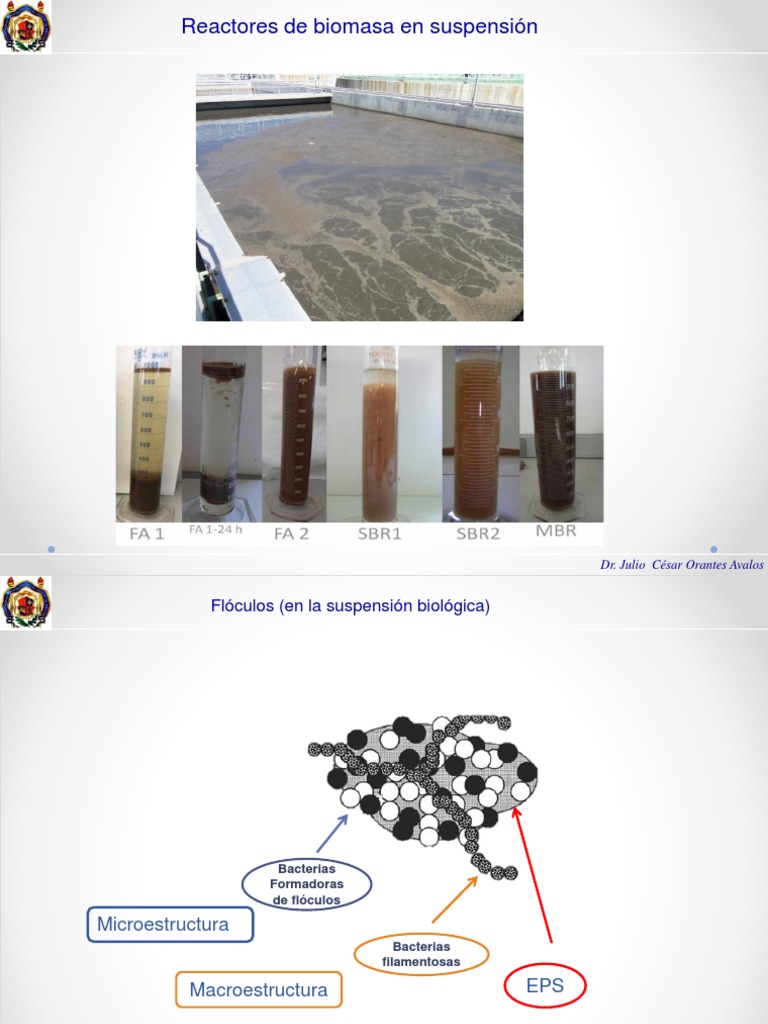 Clasificación de Tratamientos Biológicos y Tipos de Reactores | PDF | Ciencia medioambiental ...