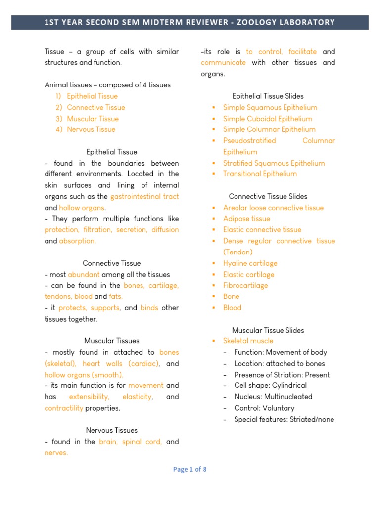 Zoo Lab Midterm Reviewer | PDF | Epithelium | Tissue (Biology)