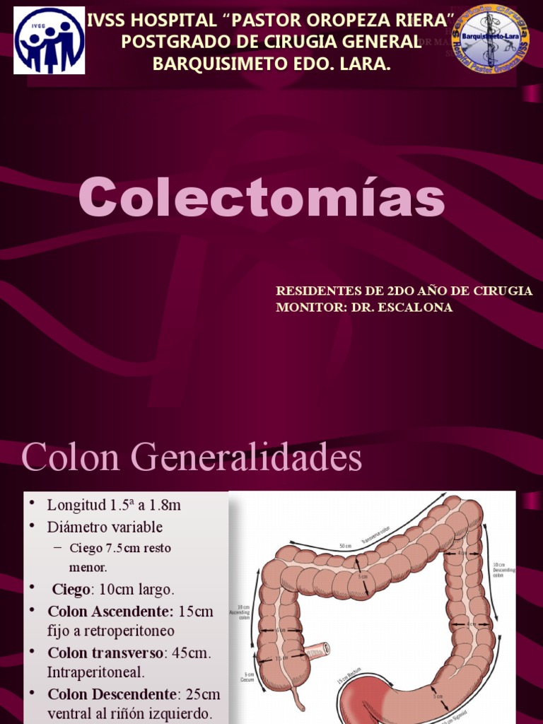 1 TQ Colectomias R2 | PDF | Intestino grueso | Morfología (biología)
