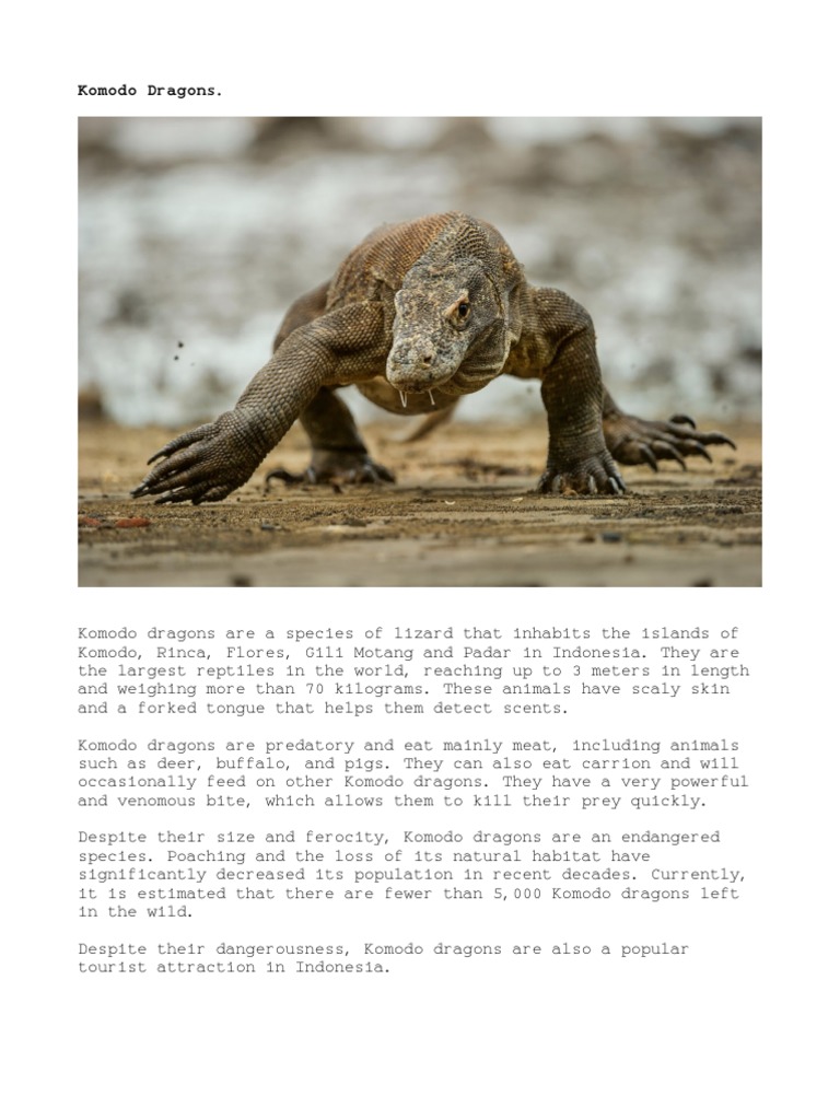 Komodo Dragons | PDF