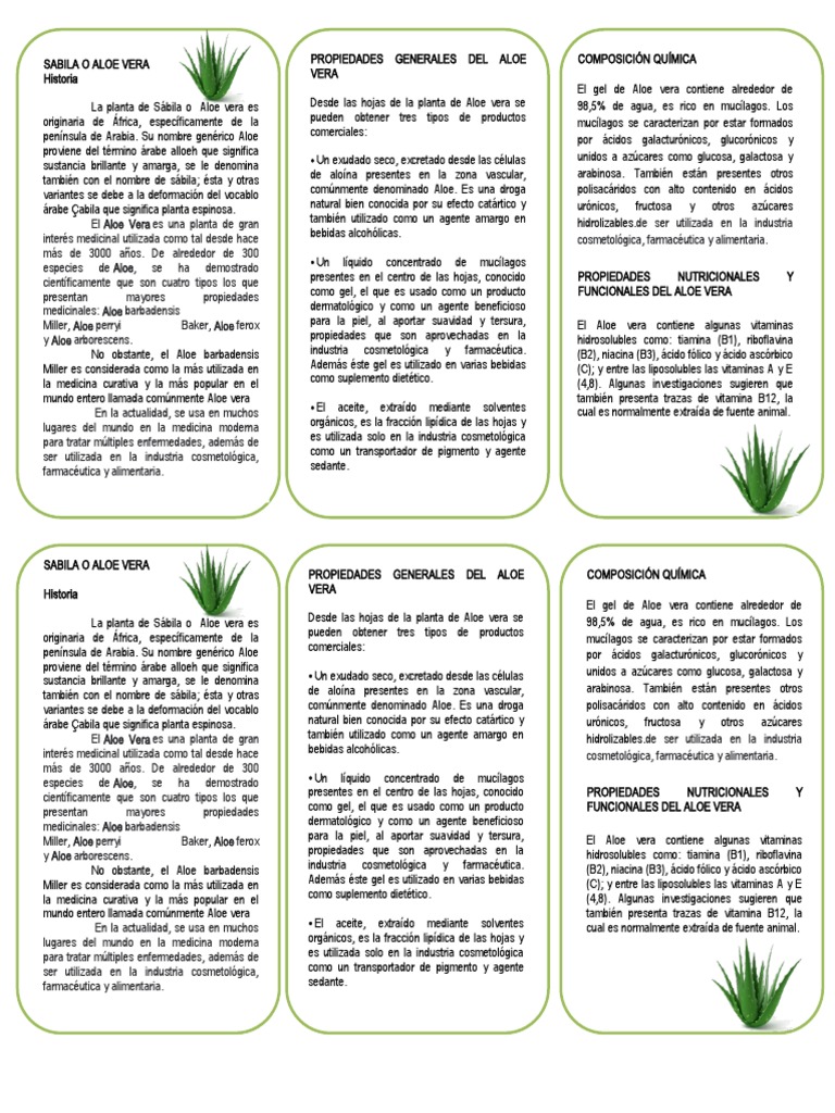 TRIPTICO DE LA SÁBILA | PDF | Vitamina | Plantas