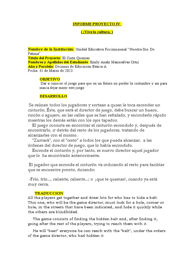 Informe Proyecto Iv | PDF