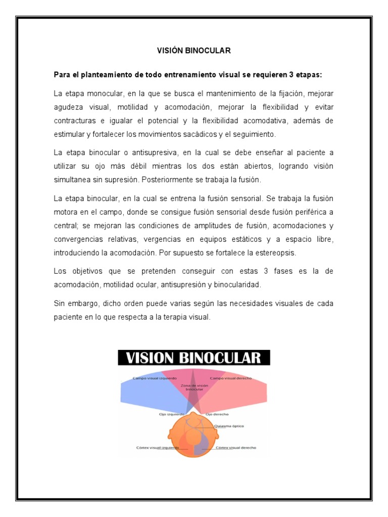 Etapas de la Visión Binocular | PDF | Percepción visual | Procesos mentales