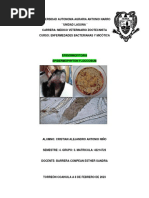 Crema Macril - para Qué Sirve, Composición y Contraindicaciones | PDF ...