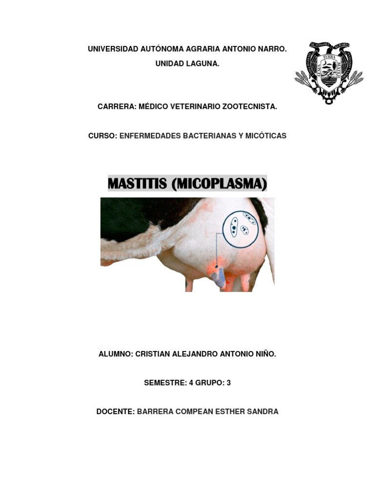Mastitis X Micoplasma | PDF | Micoplasma | Especialidades Medicas