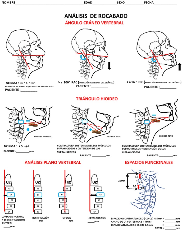 Analisis de Rocabado | PDF | Anatomía | Trastornos musculoesqueléticos